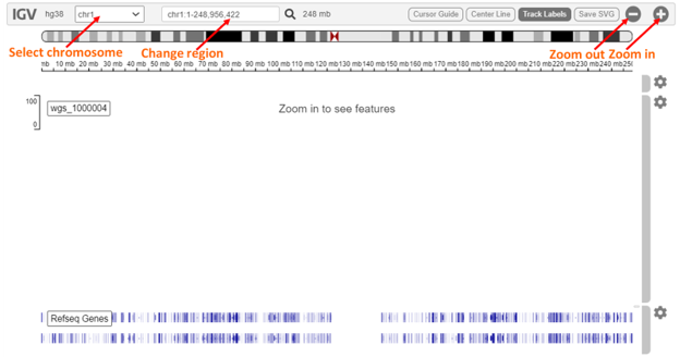 Using The Integrative Genomics Viewer Igv User Support